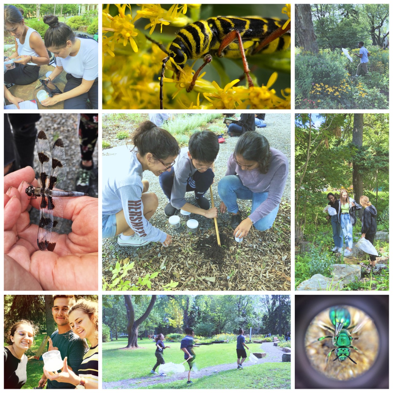 Breaking Down Walls: Using Outdoor Classrooms to Stimulate Learning ...