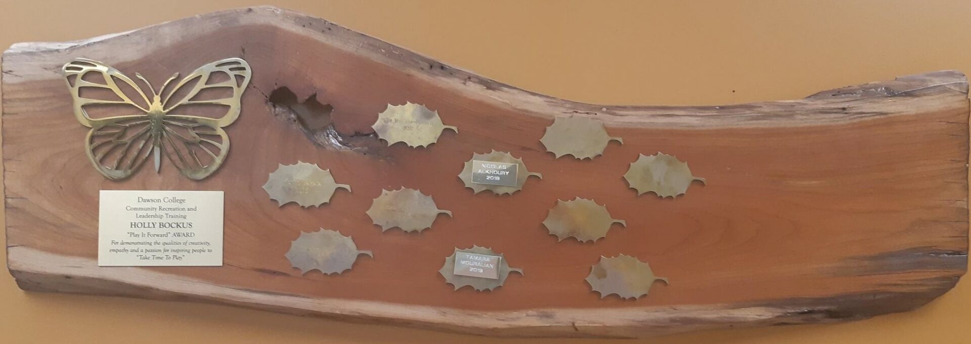 Scholarships – Community, Recreation and Leadership Training