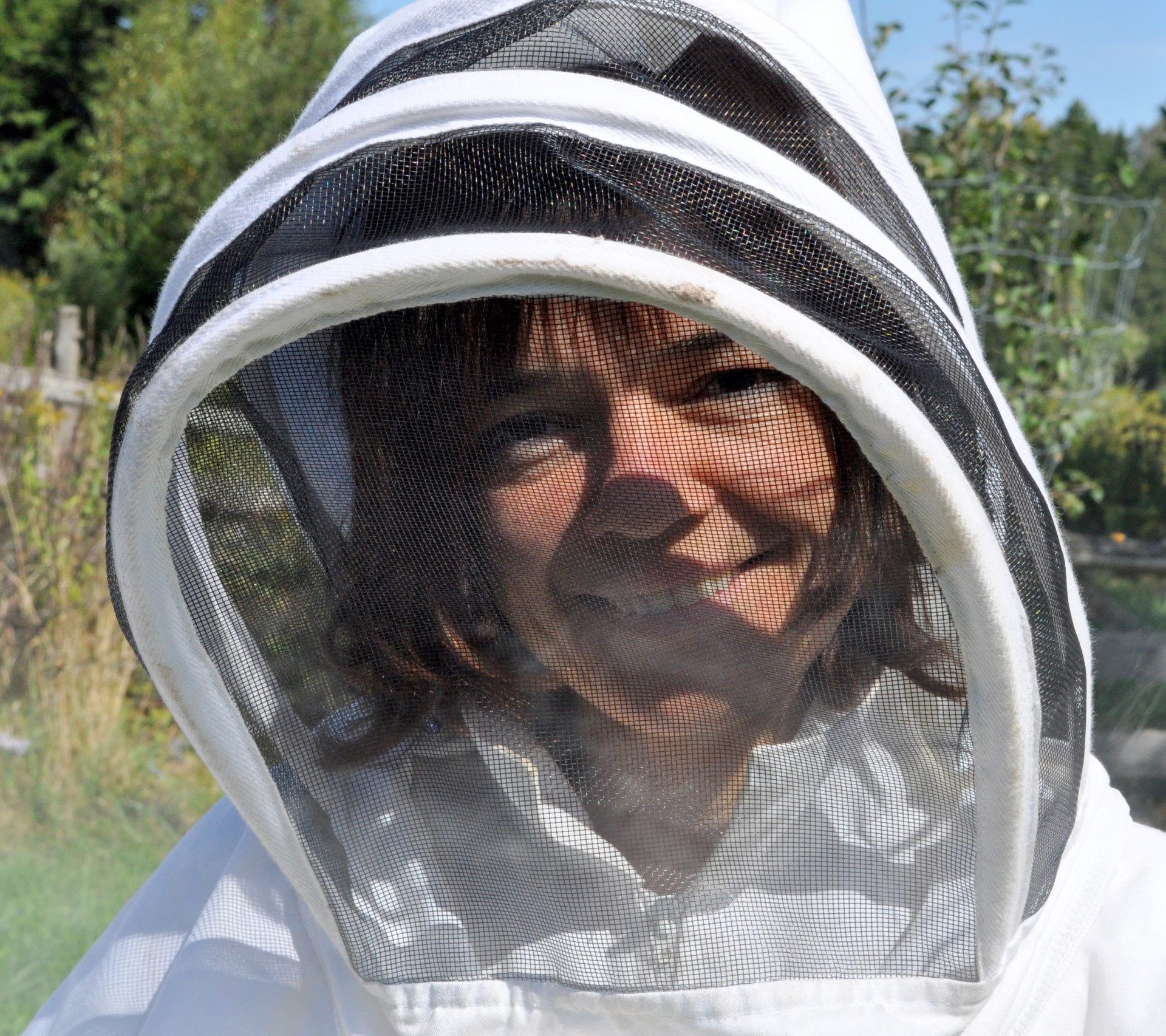 Hoffmann, Susan Judith – E-Learning