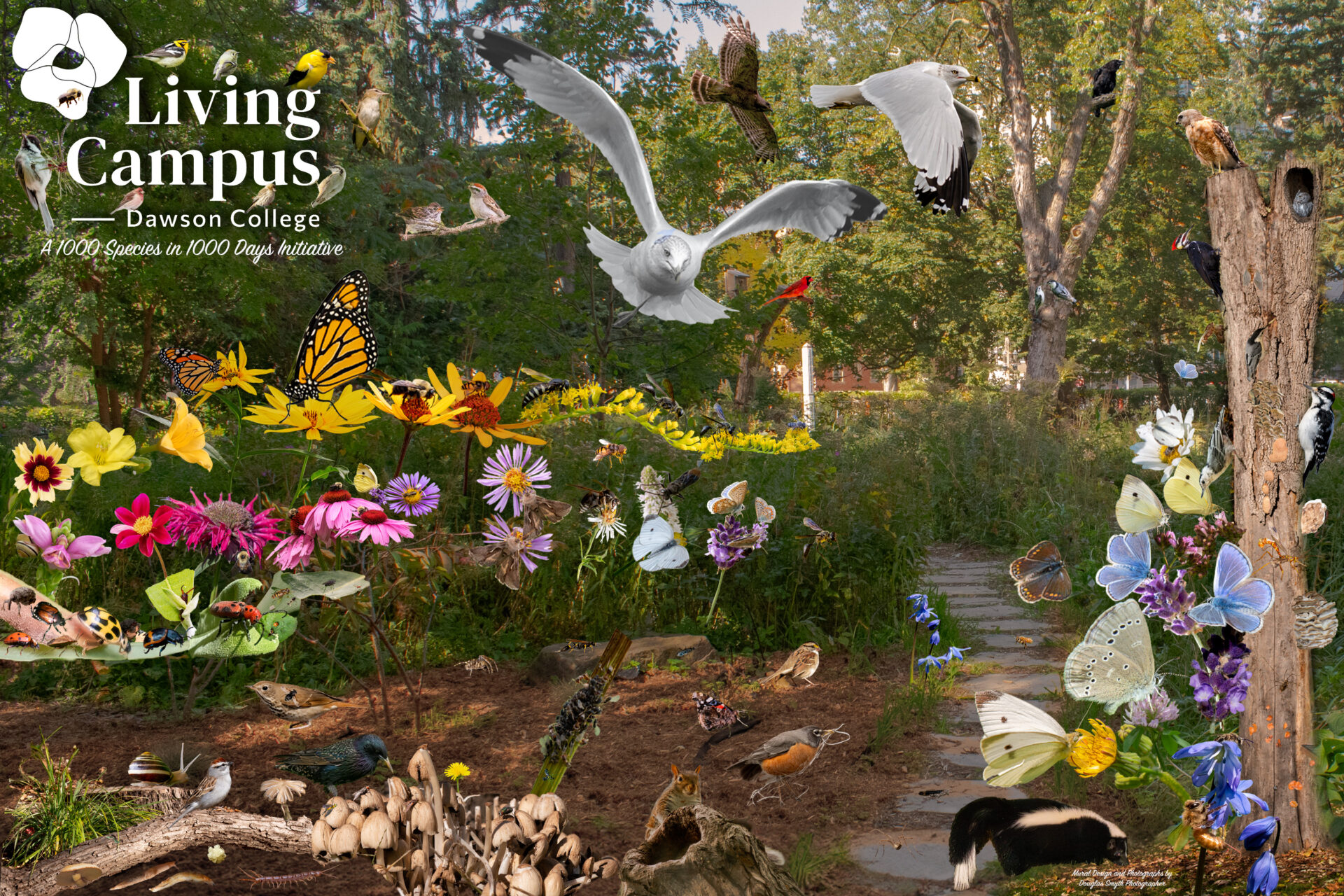 Large Peace Garden photo collage celebrates 1,000 Species project ...