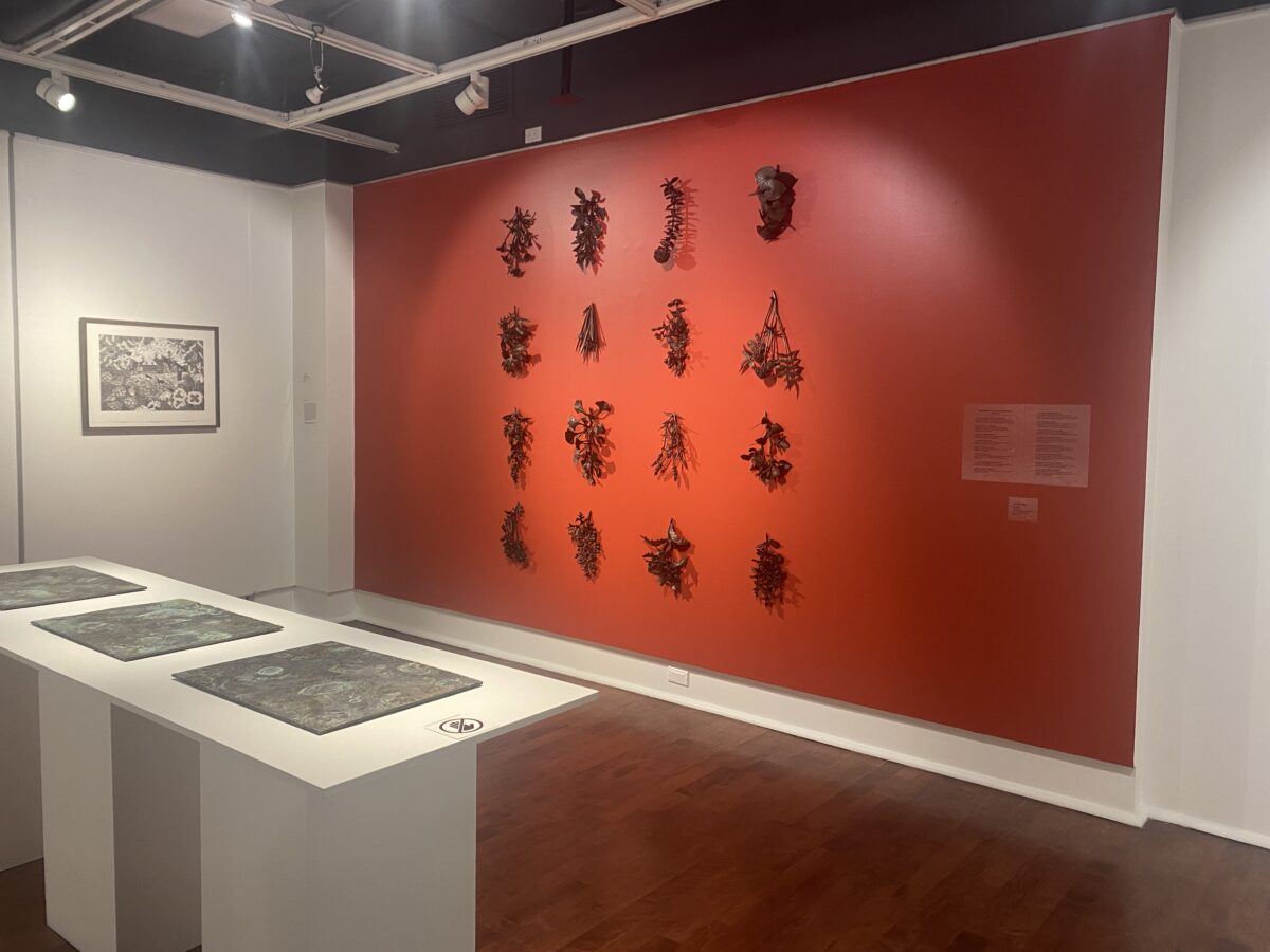 Anna Williams’ Unquiet Mythologies – Newsroom