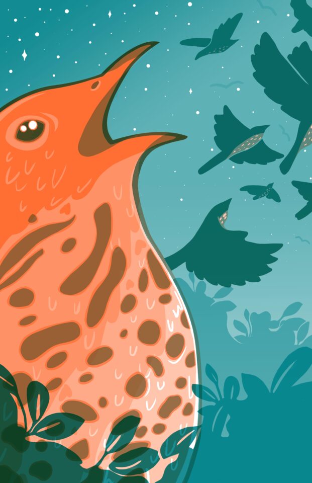 Illustration students capture flight of migratory birds – Newsroom