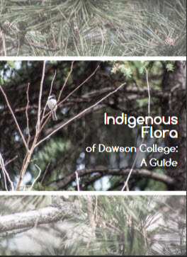 Indigenous Flora Booklet – Peace Centre
