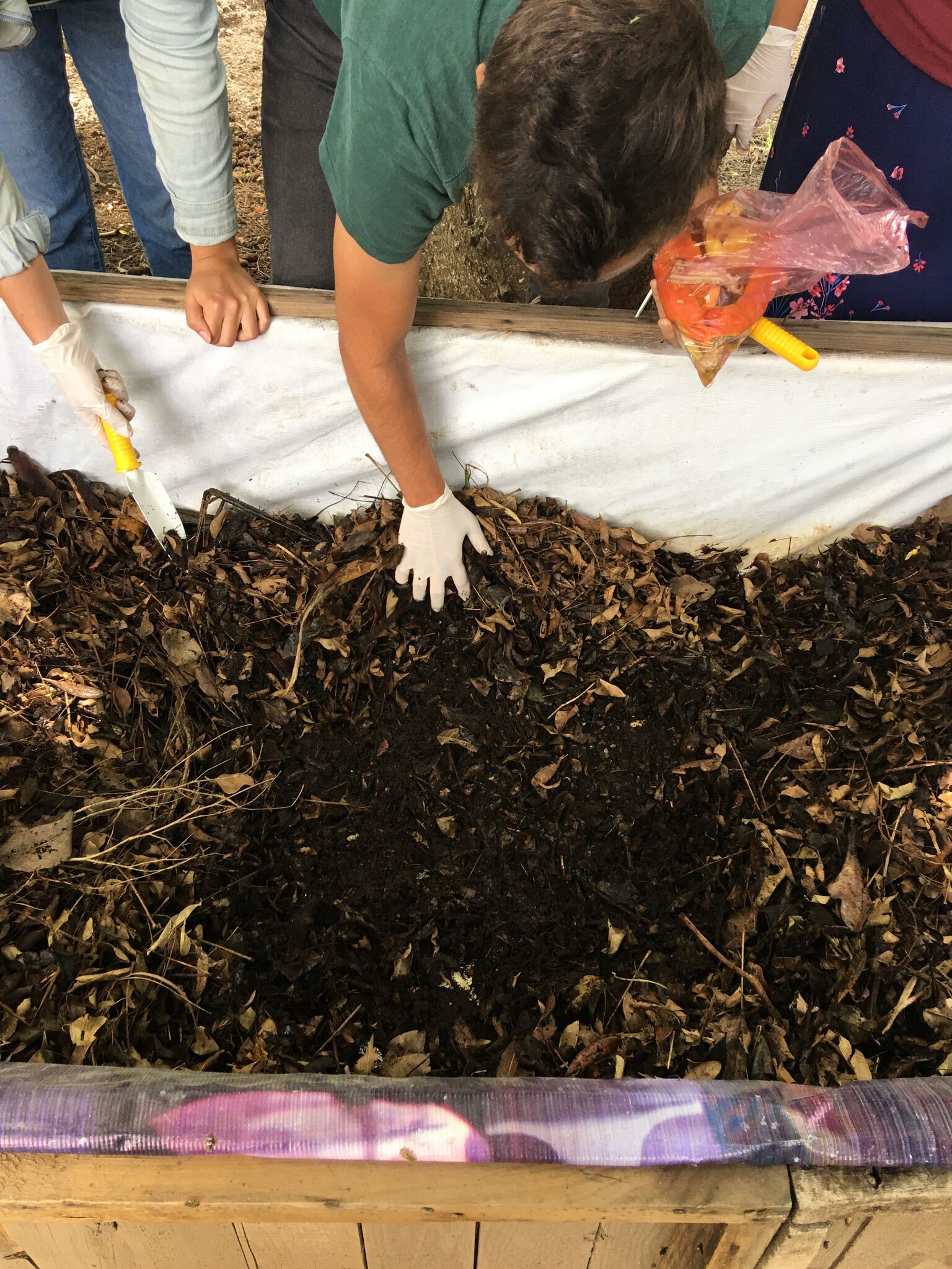 Composta y lombricomposta: A la tierra lo que de la tierra es ...