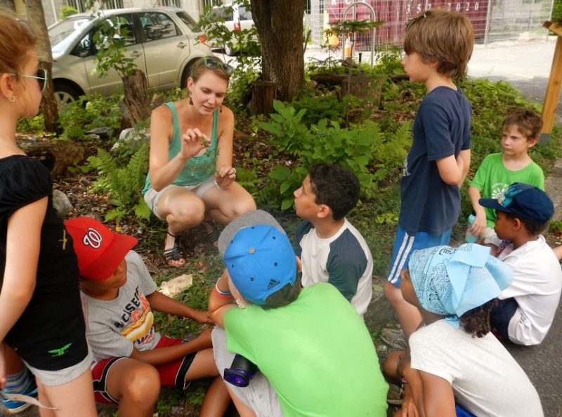 Urban Nature Interpretation – Office of Sustainability