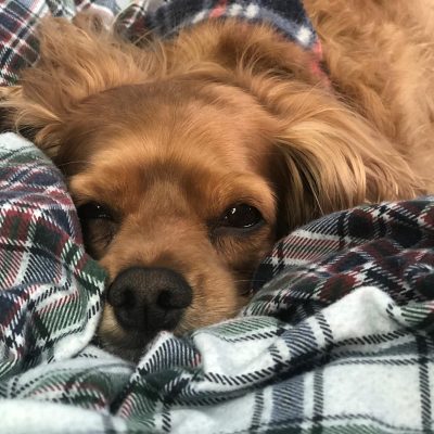 Online Learning Resources – Online Learning Resources